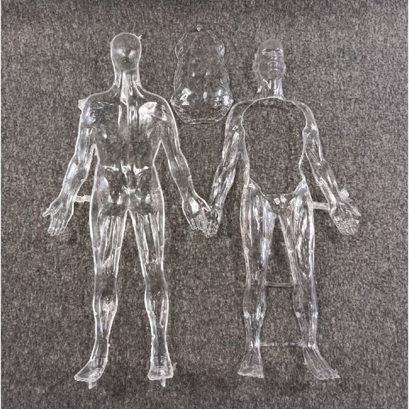 Toys | Vintage Skilcraft Visible Man Anatomy Model Kit Open Box W ...